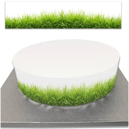 Grass Lawn and Nature Cake Border in sugar - Planète Gateau