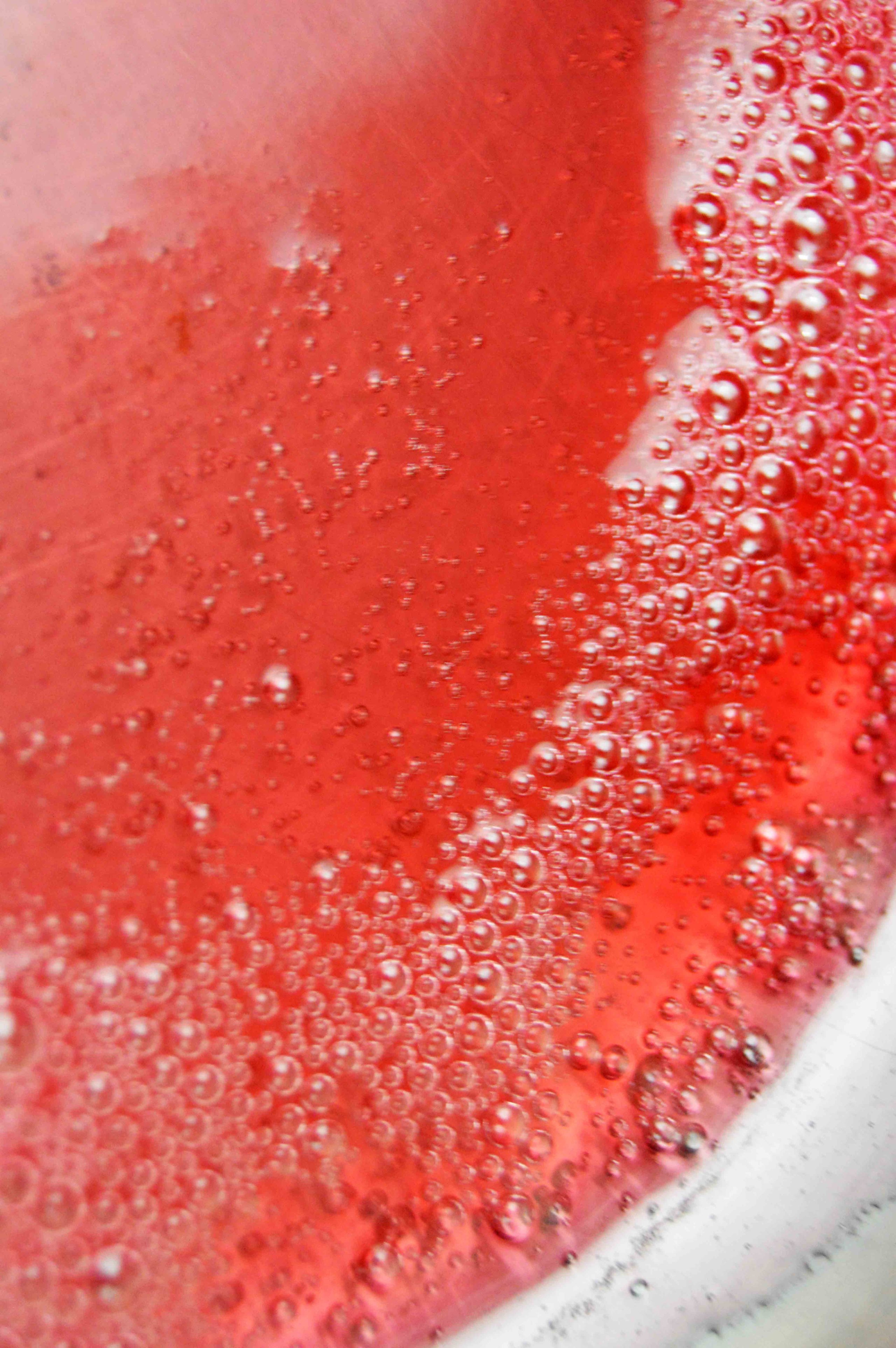 Rose de Noël Poinsettia en isomalt 😍 PLANETE GATEAU BLOG