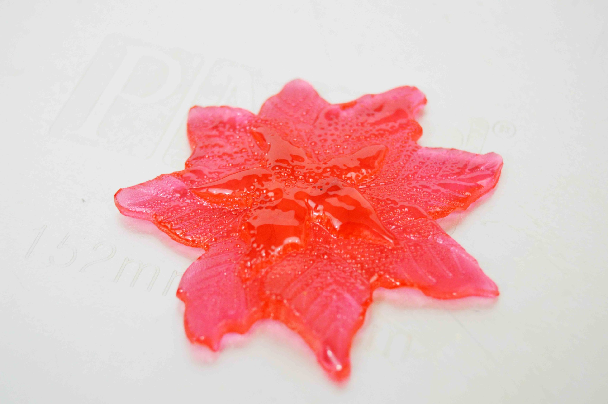 Rose de Noël Poinsettia en isomalt 😍 PLANETE GATEAU BLOG