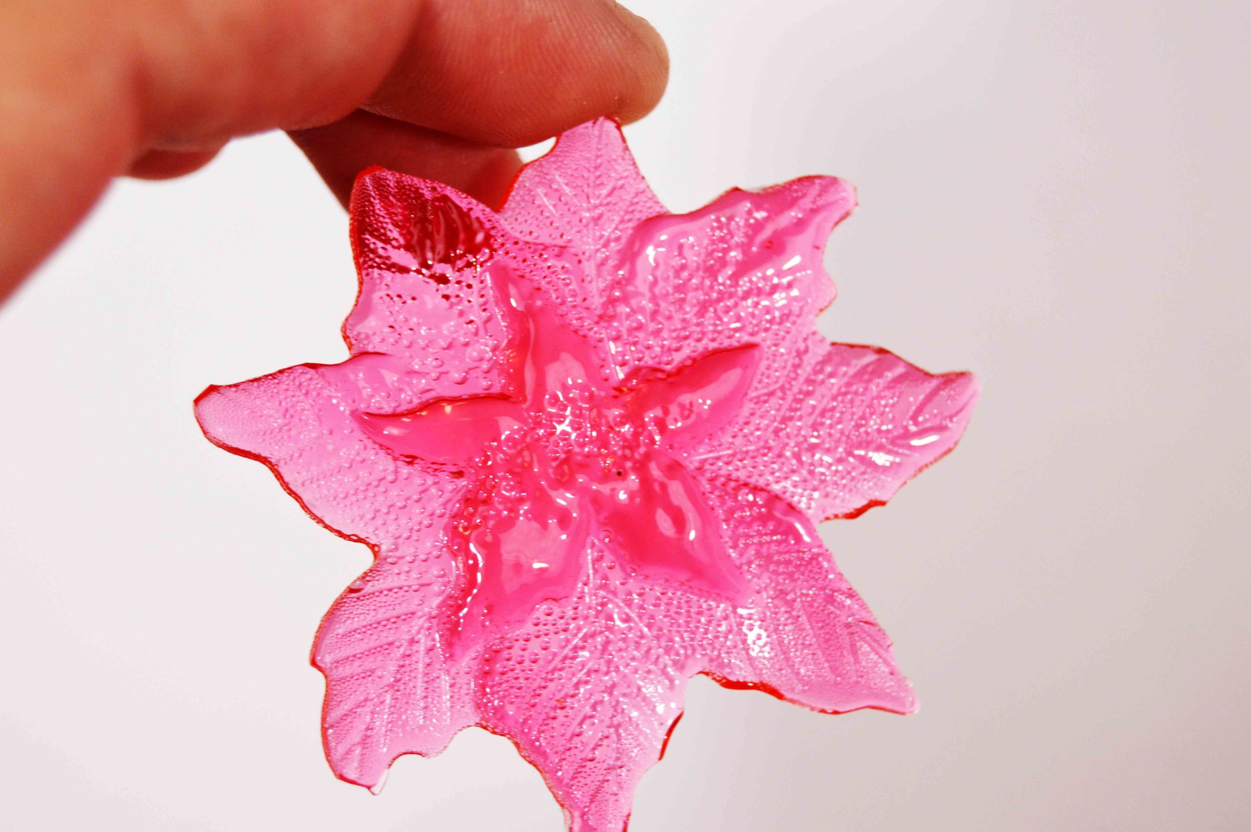 Rose de Noël Poinsettia en isomalt 😍 PLANETE GATEAU BLOG