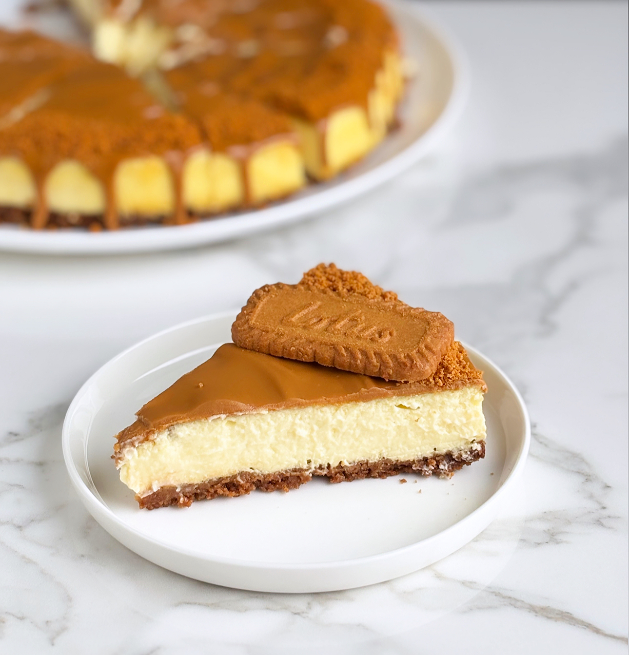 Cheesecake Spéculoos - Gâteau au fromage 😍 PLANETE GATEAU BLOG