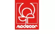 Modecor Pop Fondant for perfect cake coverings - Planète Gateau